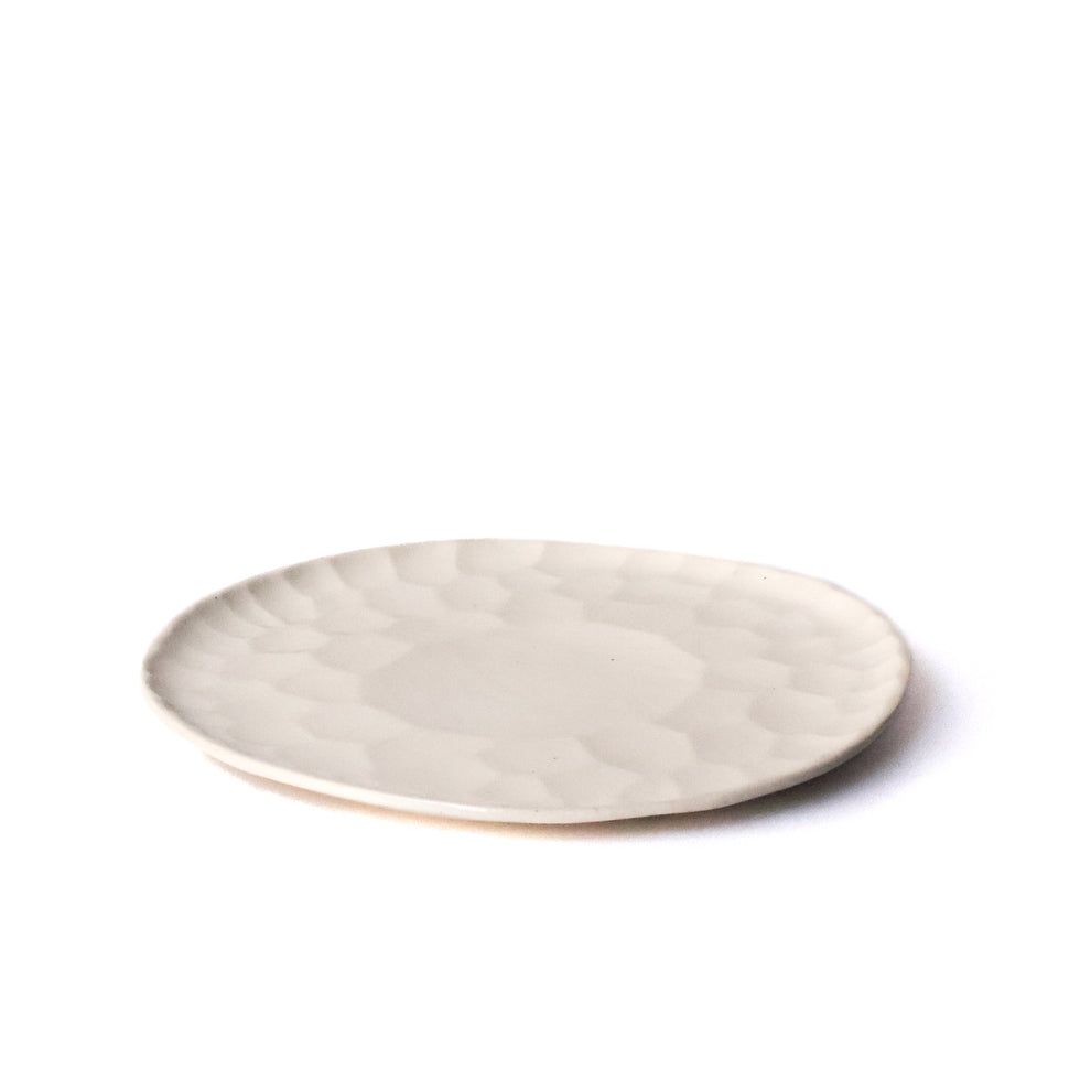 Carve Main Plate – Vorster & Braye